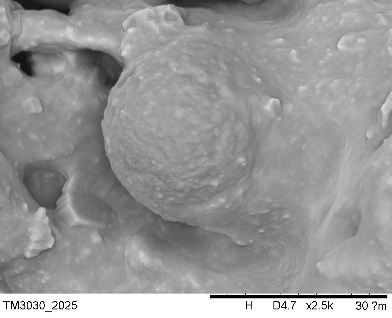 Non-sintered Fillers